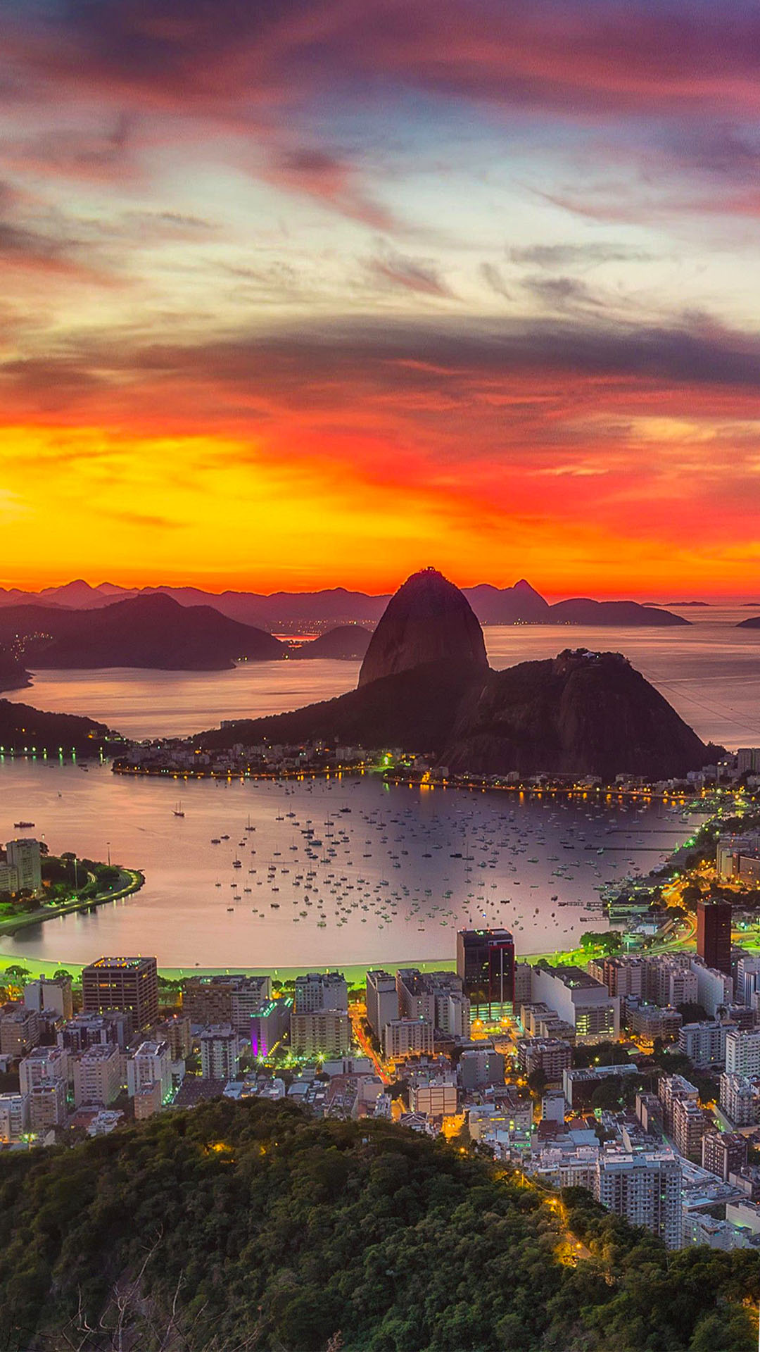 rio wallpaper iphone